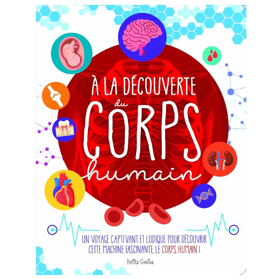 À la découverte du corps humain | Oneaday