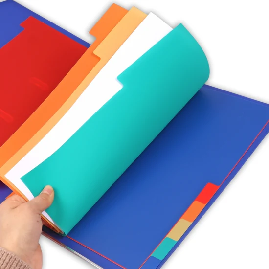 Intercalaire De Séparation PP (6 Positions)/Couleurs – Oneaday