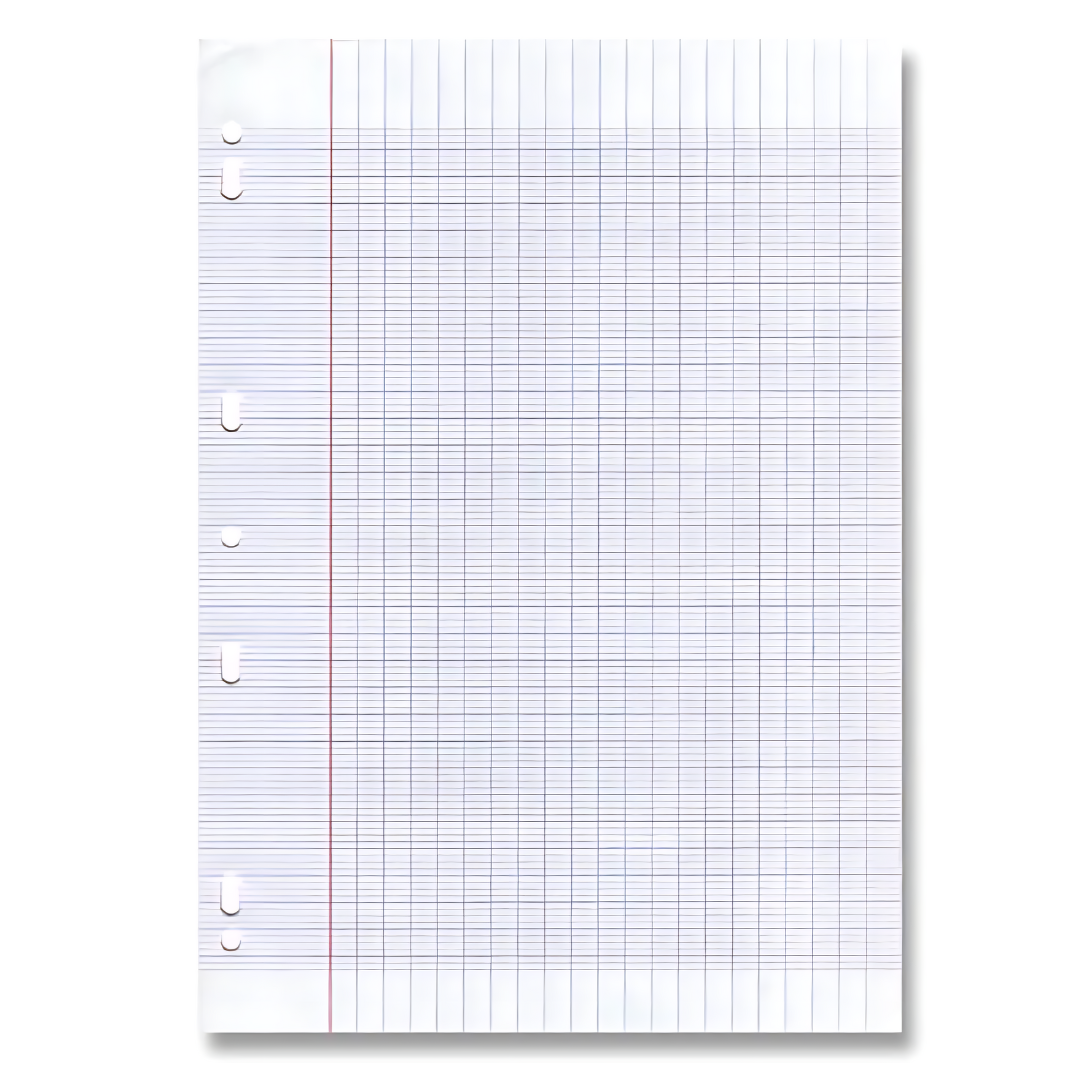 FEUILLES DE CLASSEUR 100 PAGES | Oneaday